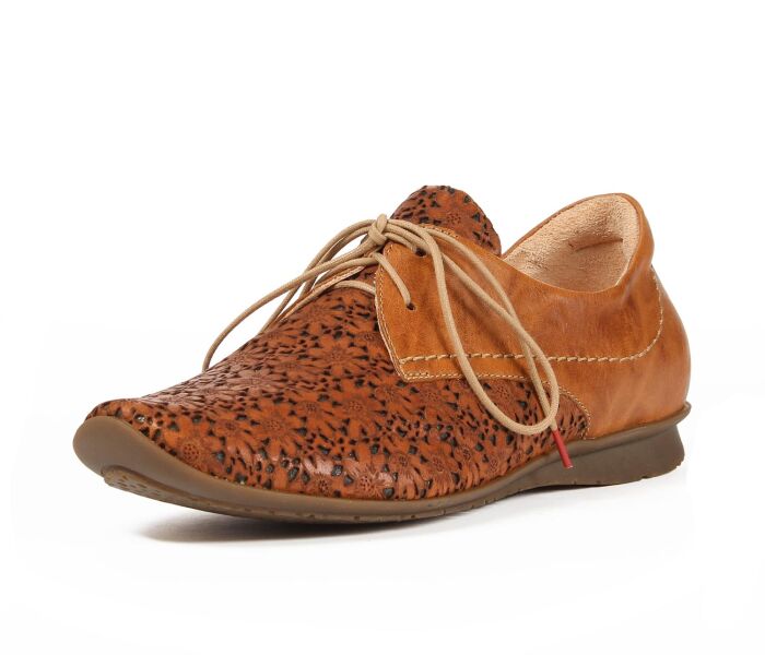 SALE-Think-Loints_of_Holland-TenPoints-Lofina-El_Naturalista